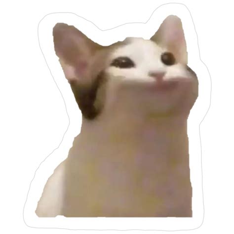Popcat Click Funny Cute Cat Meme Sticker In 2025 Funny Cute Cats Cat