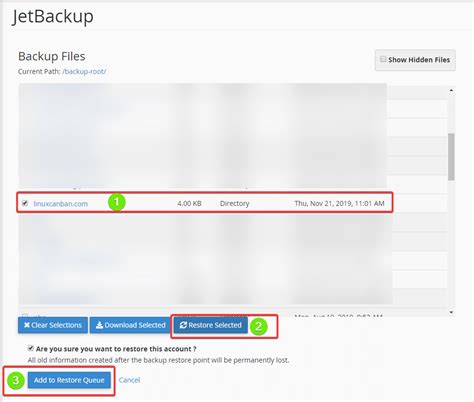 hướng dẫn restore file thư mục bằng jetbackup trên hosting azdigi