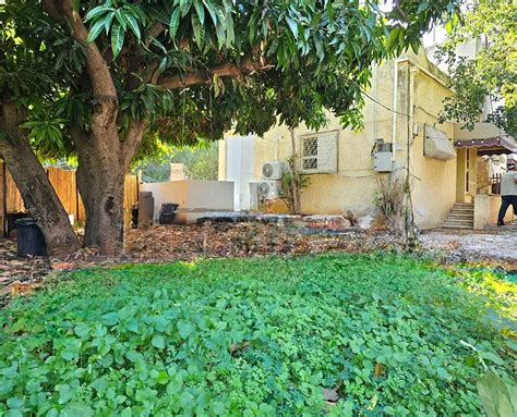 להשכרה גת רימון מדלן