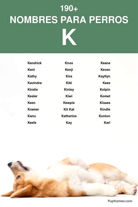 Los Mejores Nombres Para Perros Caniches