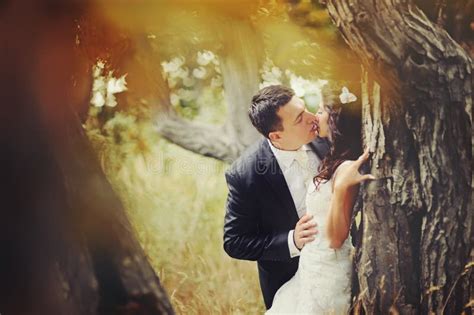 Sensual Pareja Casada En Bosque Imagen De Archivo Imagen De Novia