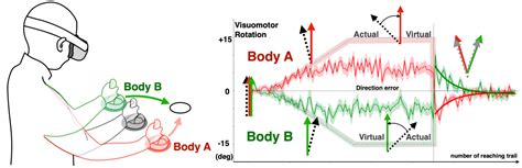 Parallel Adaptation Cybernetic Humanity