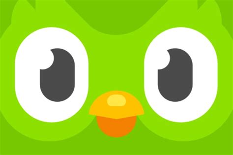 Vous êtes nuls en maths Duolingo a la solution pour vous