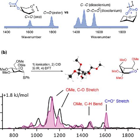 Pdf Glycosyl Oxocarbenium Ions Structure Conformation Reactivity
