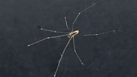 Todo El Mundo Lo Ignora Y Es Importante Esto Es Lo Que Significa Que