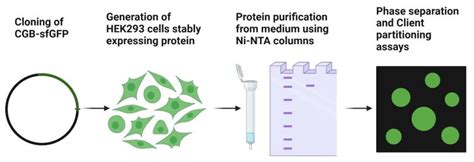 Bio Protocol On Linkedin Reproducibility Lifesciences Biochemistry
