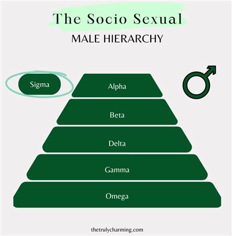 Difference Between Alpha Male And Beta Male🐆 Venture Se Nas Apostas Online Com 5 No Jogo Do Bicho