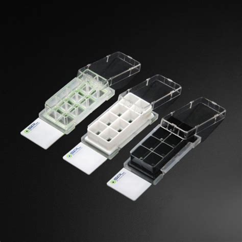 Poly D Lysine At William Gainey Blog