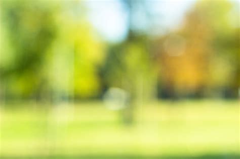 나무와 빛 Bokeh 야외 공원 배경 흐림 0명에 대한 스톡 사진 및 기타 이미지 0명 가을 경관 Istock