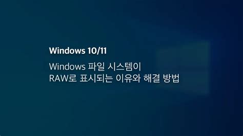 Windows 파일 시스템이 Raw로 표시되는 이유와 해결 방법 익스트림 매뉴얼
