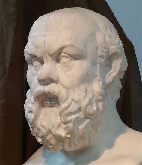Гипсовая голова Цезаря в 2025 г Принципы искусства Био арт Художественные скульптуры