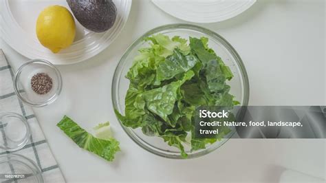 로메인 양상추와 셀러리 샐러드 레시피 하얀 식탁에 클로즈업된 재료들 평평하게 누워 있다 건강한 생활방식에 대한 스톡 사진 및 기타 이미지 건강한 생활방식 건강한 식생활