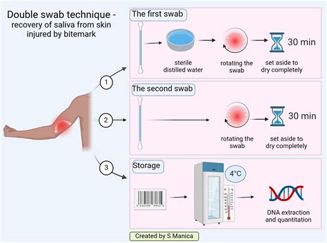Double Swab Technique Biorender Science Templates