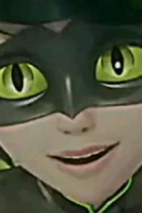 Marinette Falling In Love With Cat Noir 😌 Noir Cats Falling In Love