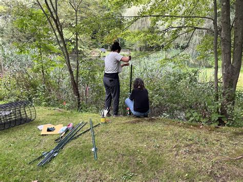 Tree Protection — The Garden Club Of Mount Tabor