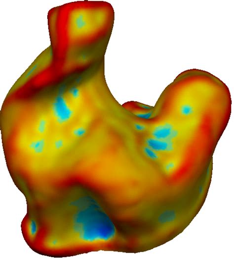 Normalized Curvature Maps Values Range From Low Blue To High