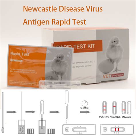 Newcastle United Newcastle Disease Virus Antigen Rapid Test Ndv Ag Test And Avian Newcastle