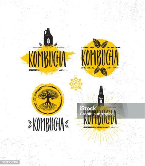 Kombucha 차 양조장 자연 건강 음료 그림 개념 바이오 원시 영양 식품 벡터 일러스트 레이 션 Kombucha에 대한 스톡 벡터 아트 및 기타 이미지 Istock