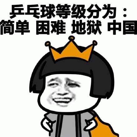乒乓球等级分为简单 困难 地狱 中国表情包图片gif动图 求表情网 斗图从此不求人