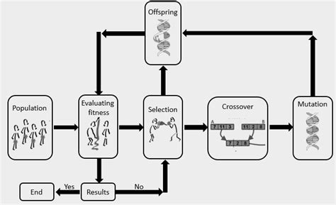 Genetic Algorithm Cycle Starting From An Intial Population Objective Download Scientific