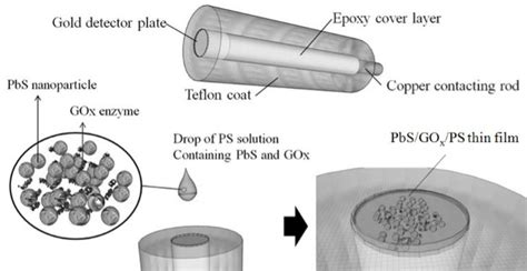 Fast Synthesis Of PbS Nanoparticles For Fabrication Of Glucose Sensor With Enhanced Sensitivity