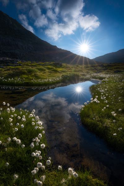 Swiss Morning By Airhaake Tumbex