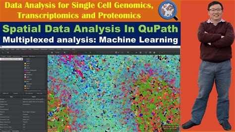 Spatial Data Analysis In Qupath How To Perform Multiplexed Analysis Using Machine Learning