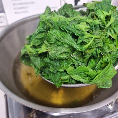 깻잎순 볶음 발아 깻잎나물 요리 깻잎순 삶는 법