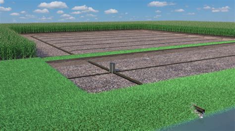 When Planning Your Buffer Strips Consider The Benefits Of Saturated