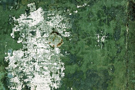 Texture Mania Free Photo Download Freeimages