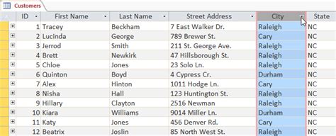 How To Use Filter Option In MS Access Computer Hindi Notes