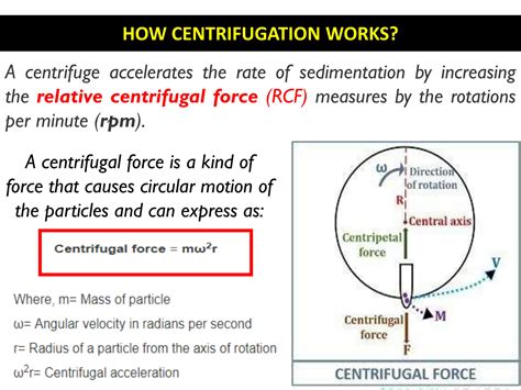 Solution How Centrifugation Technique Works Studypool