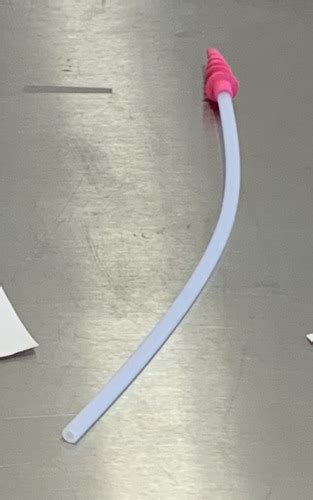 LAB PRACTICAL SWINE Flashcards Quizlet