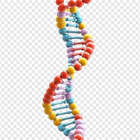 Depistage Genetique Psd Modèles Psd Gratuits De Haute Qualité à