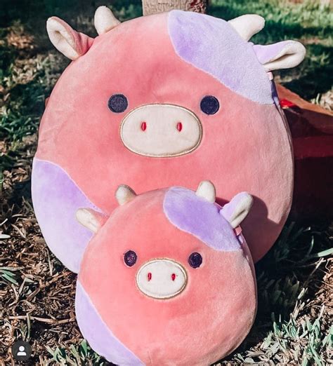 𝙴𝚍𝚒𝚝𝚎𝚍 𝚋𝚢 𝚖𝚎 Squish Melos Pink Squish Mellows Squiddle Plush