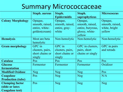 Staphylococcus Spp Pptx