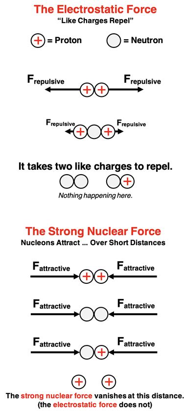 Nuclear Stability And Instability Why Some Nuclei Are Stable