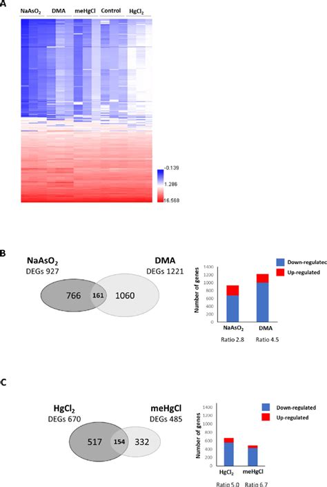 microarray analysis of gene expression with inorganic vs organic