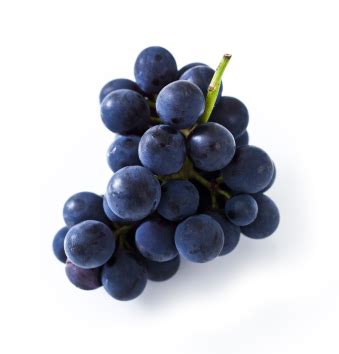 » How to Grow Grapes » Backyard Gardening Blog