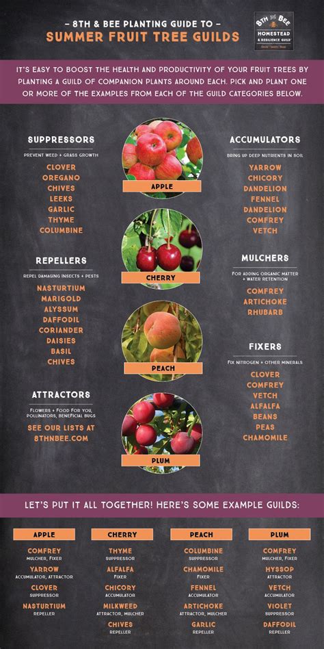 Tree Growing Guide Artofit