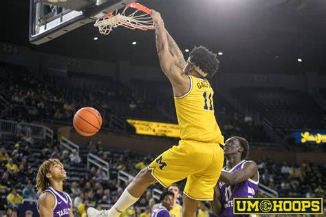 Video Dusty May Roddy Gayle Jr And Sam Walters Recap Win Over Tarleton State Um