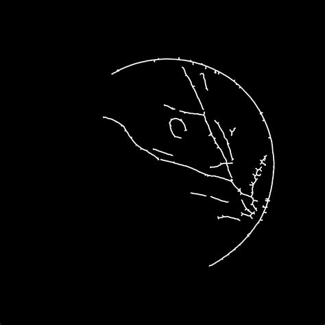 Opencv How To Trace Curvy Lines In An Image In Python Stack Overflow