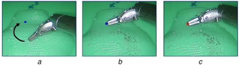 Procedure To Collect Data Points Using Virtually Rendered Dots To