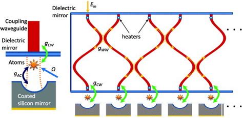 Outline Of The Waveguide Chip W And C Refer To The Waveguide Cavities Download Scientific