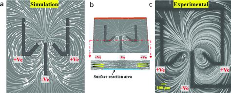 Simulation And Experimental Results Of In Plane Vortex Fluidic Motion Download Scientific