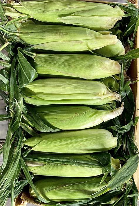 Corn Bi Color Tumbleweed Farmers Market