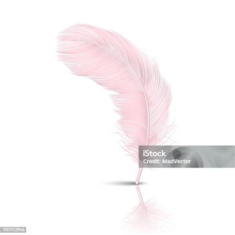 벡터 3d 현실적인 떨어지는 핑크 플라밍고 푹신한 회전 깃털 반사 닫는 흰색 배경에 격리 디자인 템플릿 천사의 클립 아트 또는 상세한 새 퀼 3차원 형태에 대한 스톡 벡터