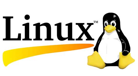 36 Lệnh Cơ Bản Trong Linux Mà Bạn Cần Biết MÁy ChỦ Vina