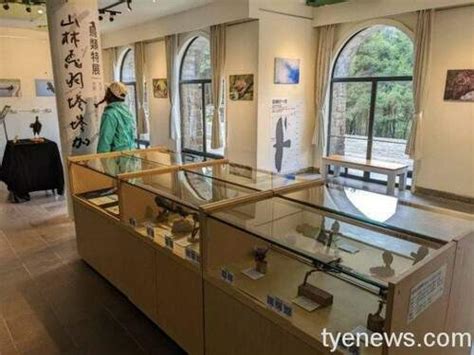 塔塔加遊客中心鳥類特展 認識臺灣特有種鳥類 台北郵報 The Taipei Post