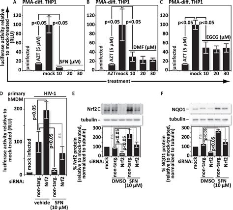 sfn acts through nrf2 to block hiv infection in download scientific diagram